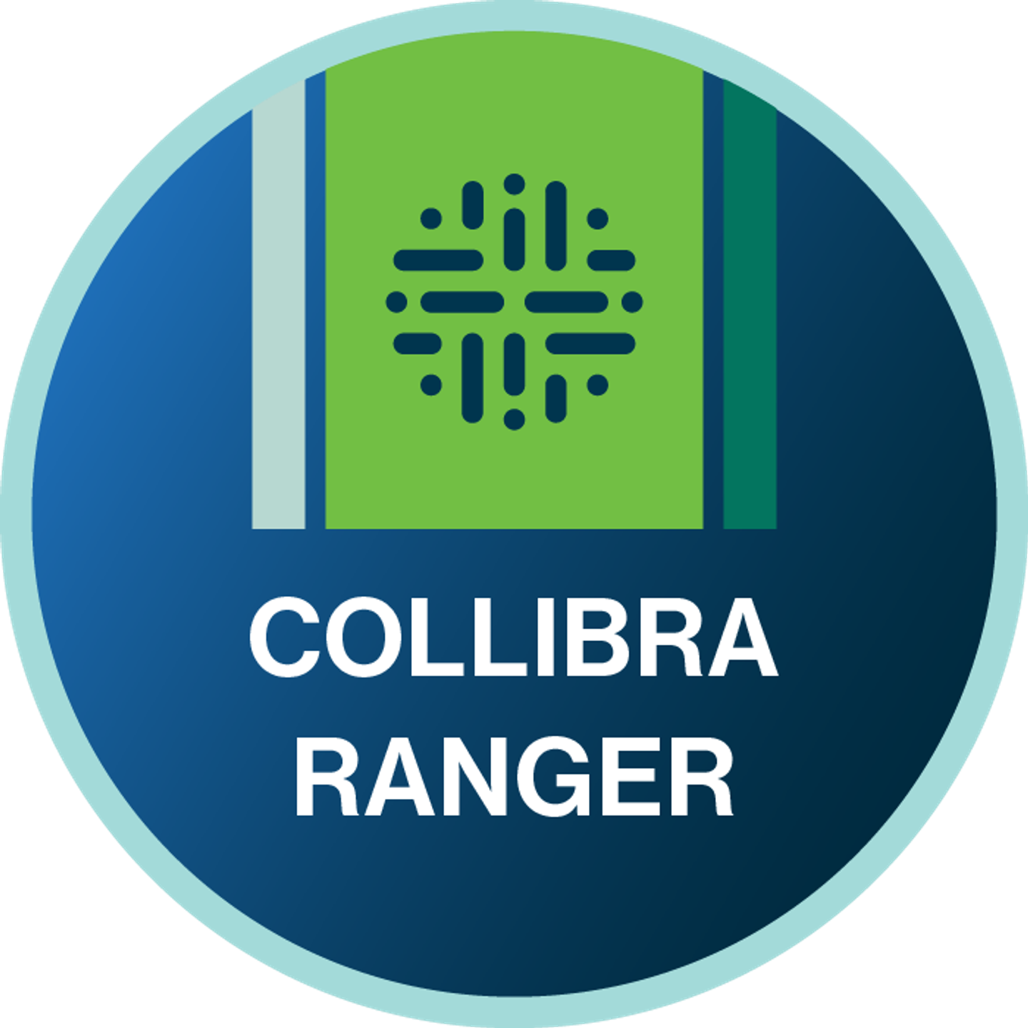 Education and certifications | Collibra