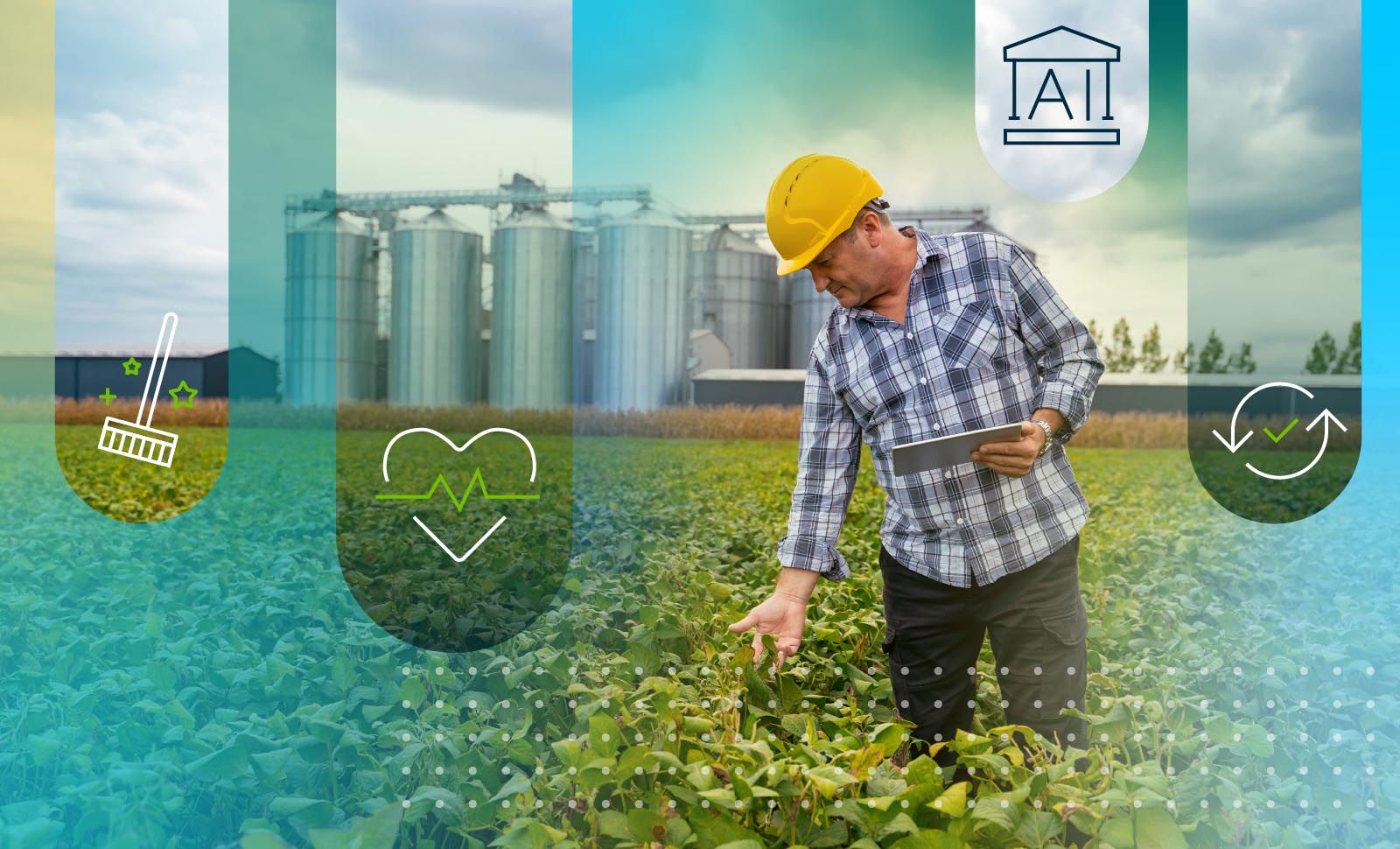 The 6 Data Quality Dimensions with Examples | Collibra